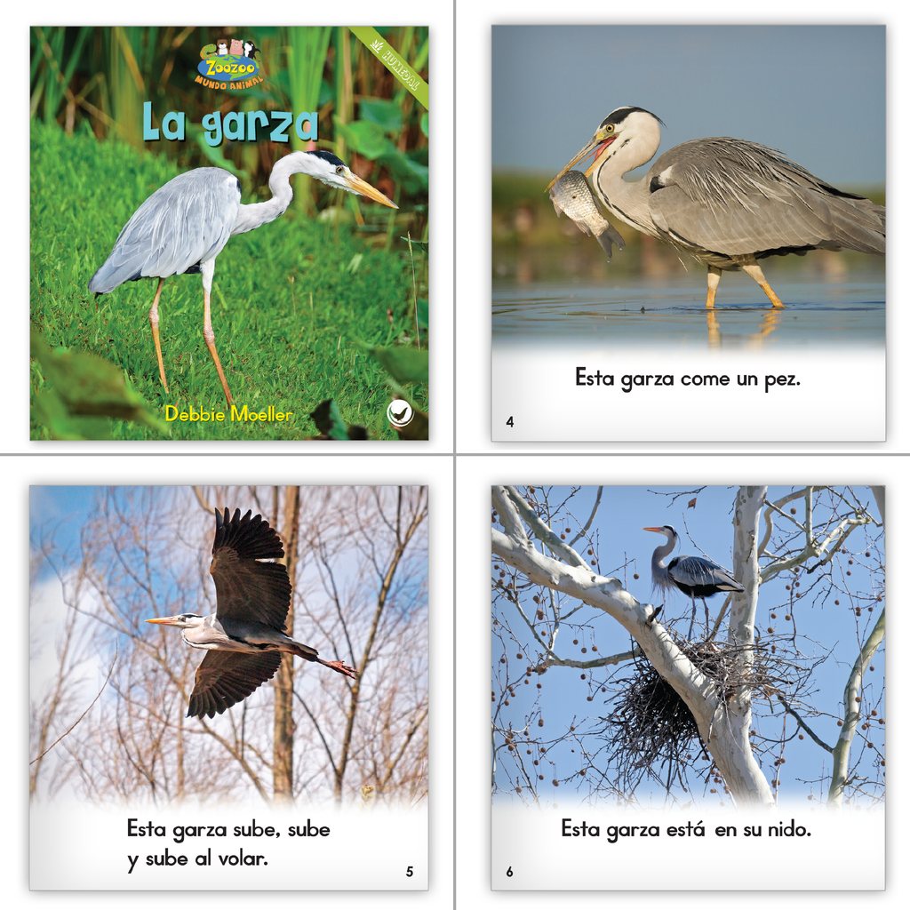 Zoozoo Mundo Animal Humedal Habitat Set (6-Packs) - Hameray Publishing