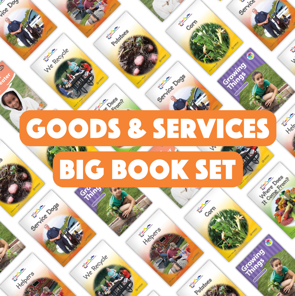Goods & Services Big Book Set - Hameray Publishing