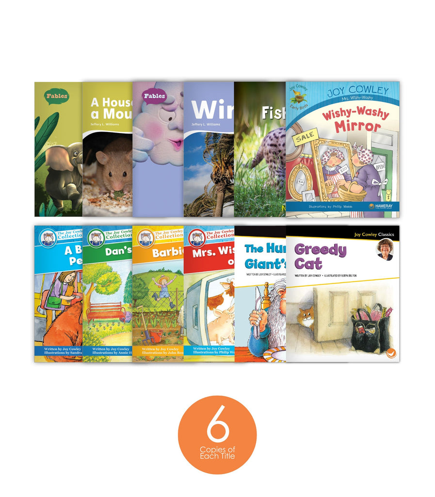 Level G Set (6-Packs) - Hameray Publishing