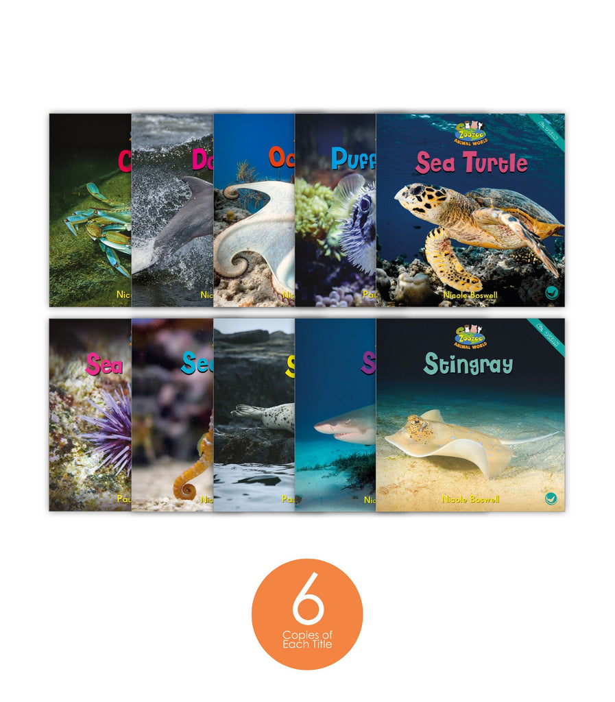 Zoozoo Animal World Ocean Sampler Set (6-Packs) - Hameray Publishing
