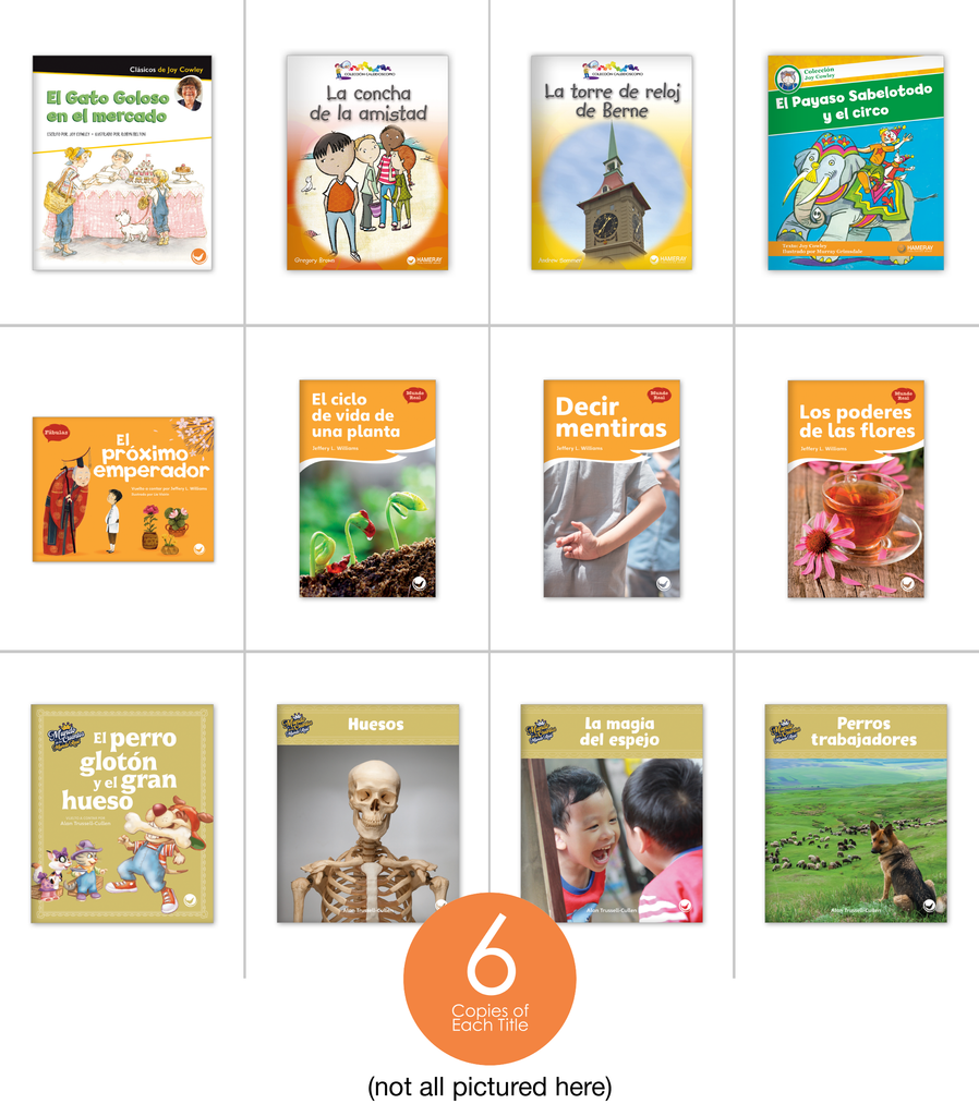 2022 Spanish 2nd Grade Guided Reading Library - Hameray Publishing