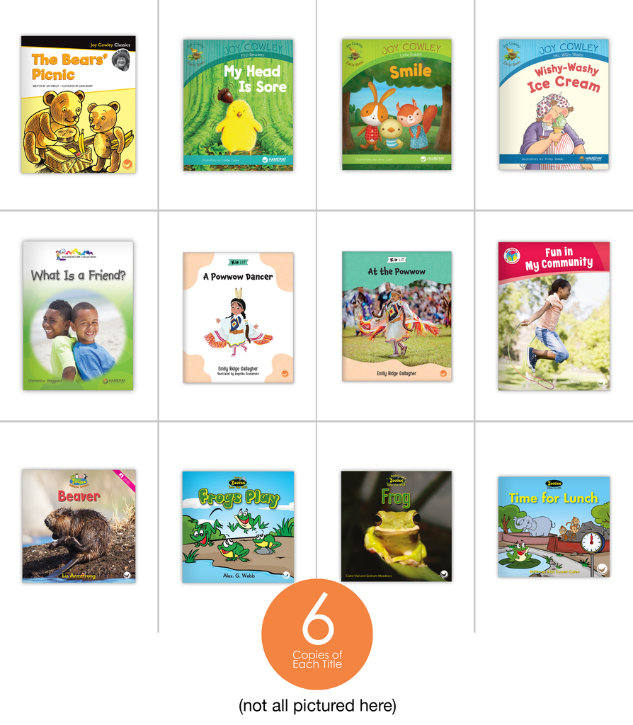 Level C Guided Reading Set - Hameray Publishing