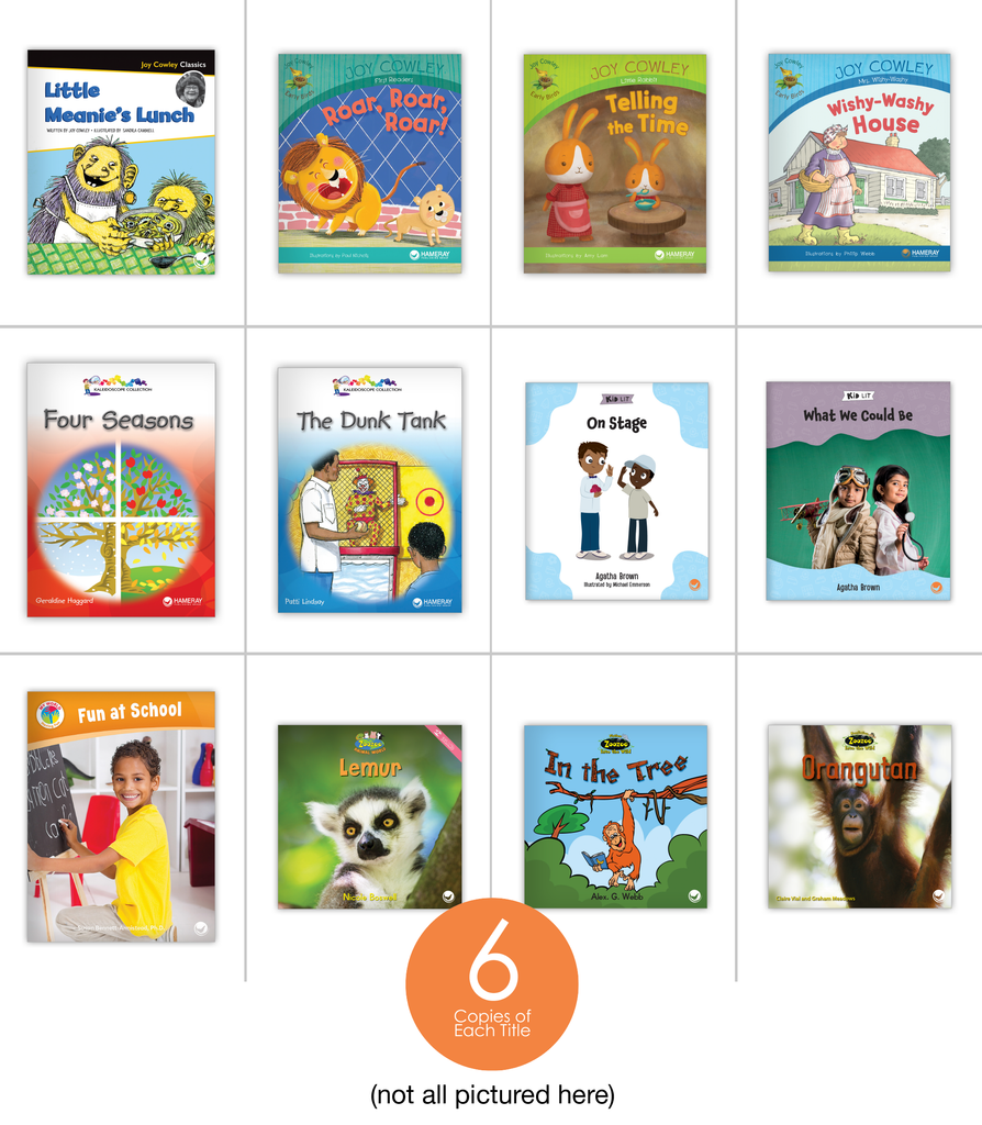 Level D Guided Reading Set - Hameray Publishing