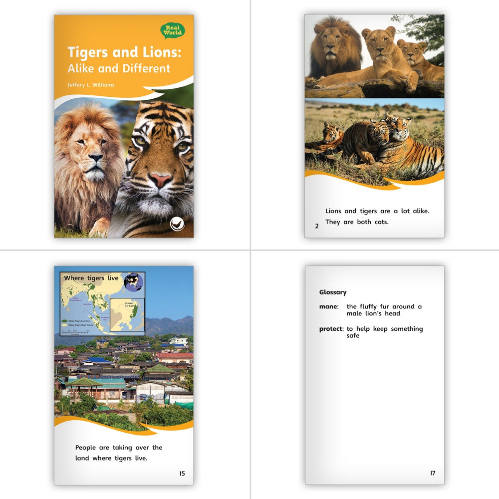 1st Grade Big Book Set - Hameray Publishing