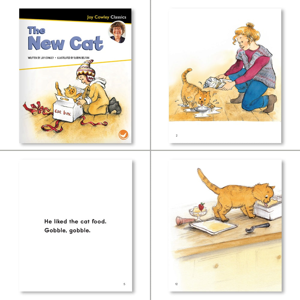Kindergarten Classroom Library (6-Packs) - Hameray Publishing