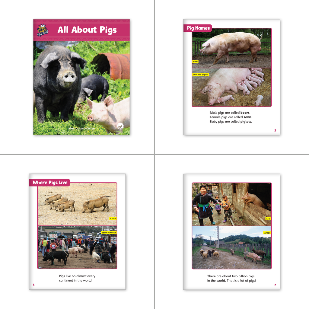 Real World Complete Set (6-Packs) - Hameray Publishing