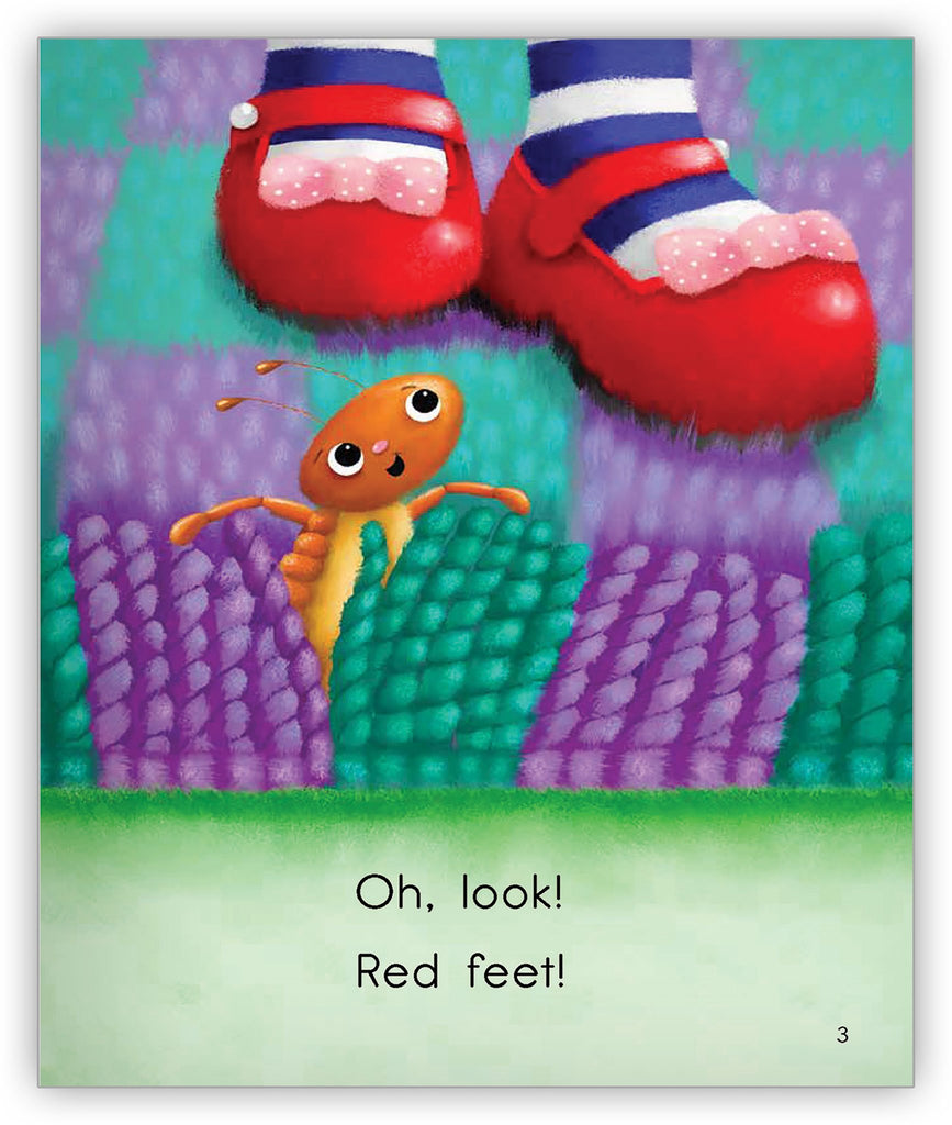 A Bug on a Rug - Joy Cowley Early Birds - Hameray Publishing