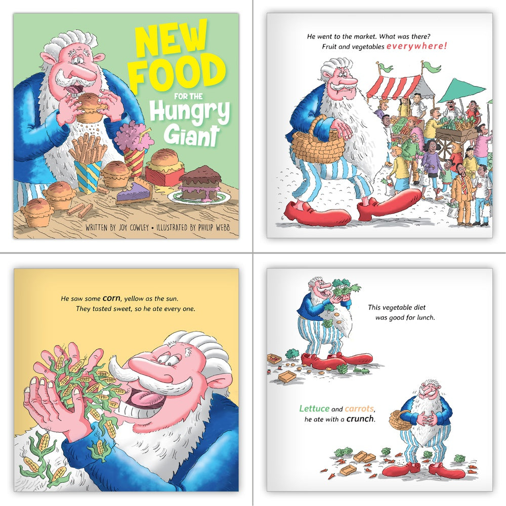 All Joy Leveled Readers Set and Big Books - Hameray Publishing