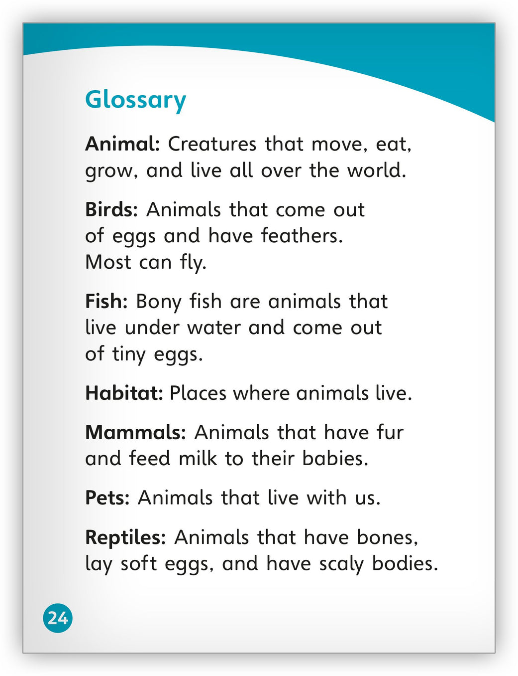 Animals Everywhere Big Book - My World - Hameray Publishing