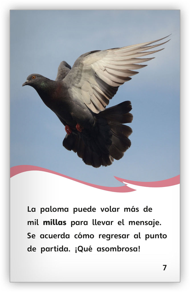 Aves inteligentes, Aves asombrosas - Fábulas y el Mundo Real - Hameray ...