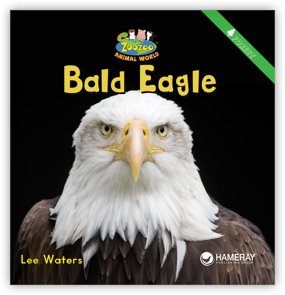 Bald Eagle - Zoozoo Animal World - Hameray Publishing