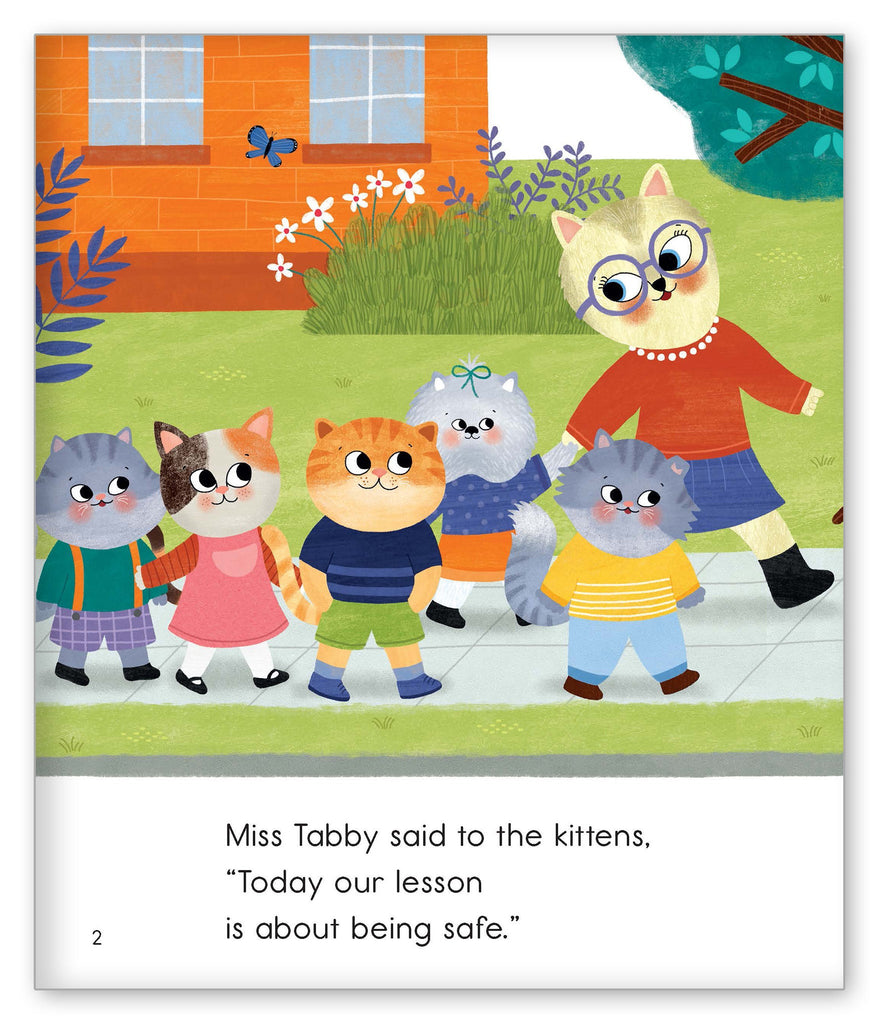 Being Safe - Joy Cowley Classics - Hameray Publishing