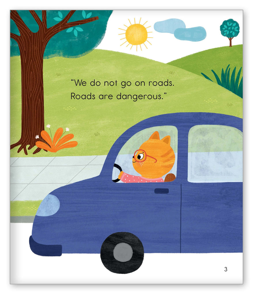 Being Safe - Joy Cowley Classics - Hameray Publishing