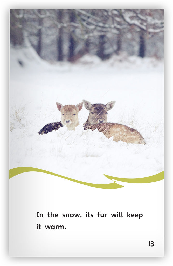 Deer - Fables & the Real World - Hameray Publishing