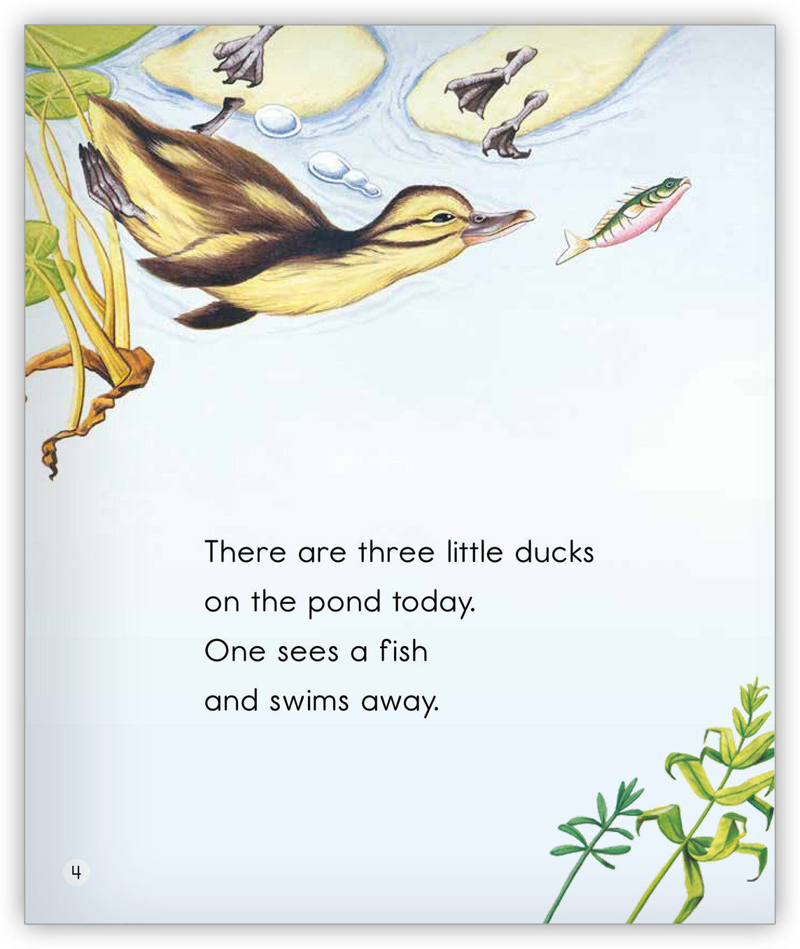 Ducks - Joy Cowley Classics - Hameray Publishing