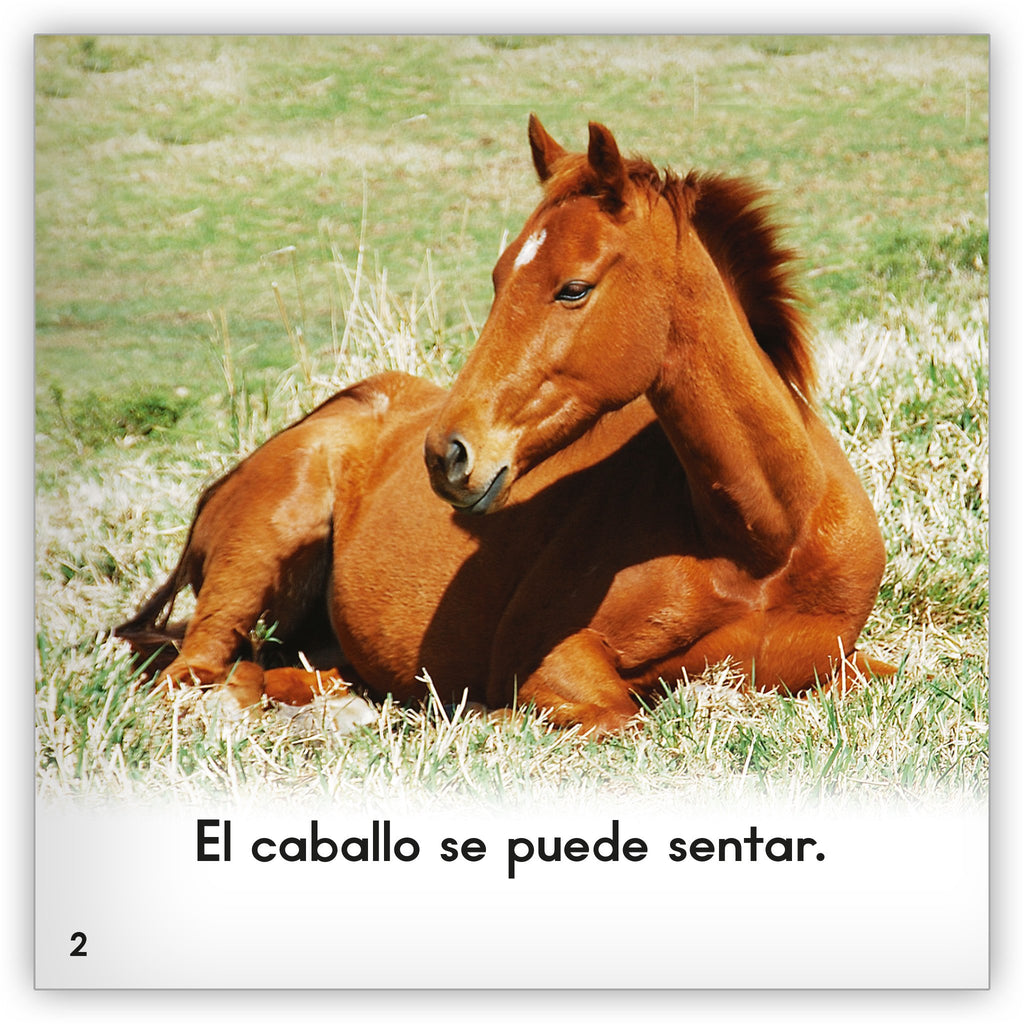 El caballo - Zoozoo Mundo Animal - Hameray Publishing