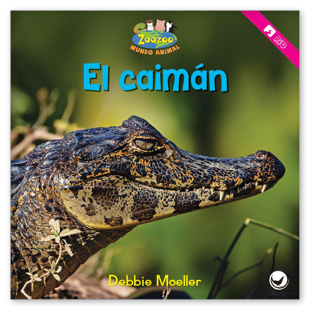El caimán - Zoozoo Mundo Animal - Hameray Publishing