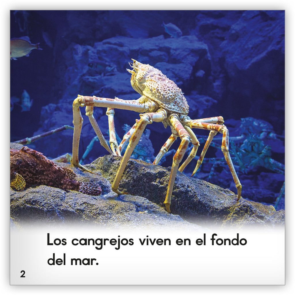 Los Cangrejos De Mar