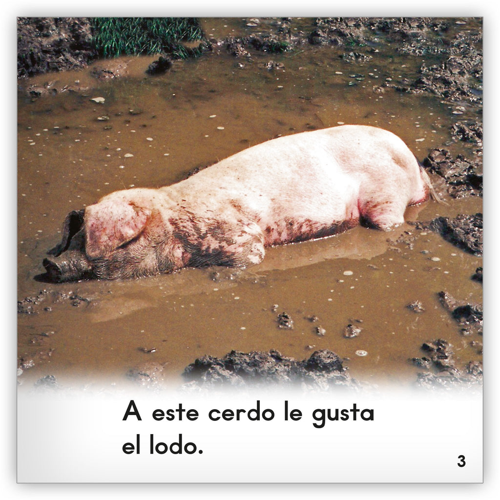 El cerdo - Zoozoo Mundo Animal - Hameray Publishing