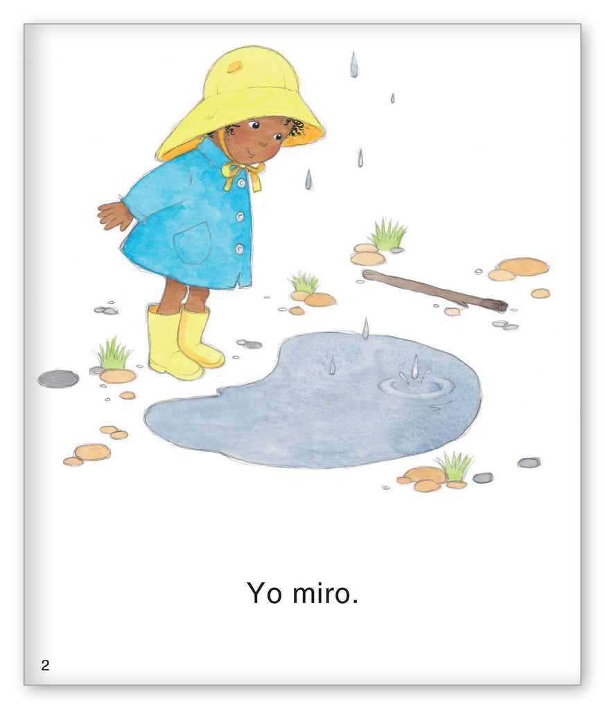 El charco - Lecturitas - Hameray Publishing