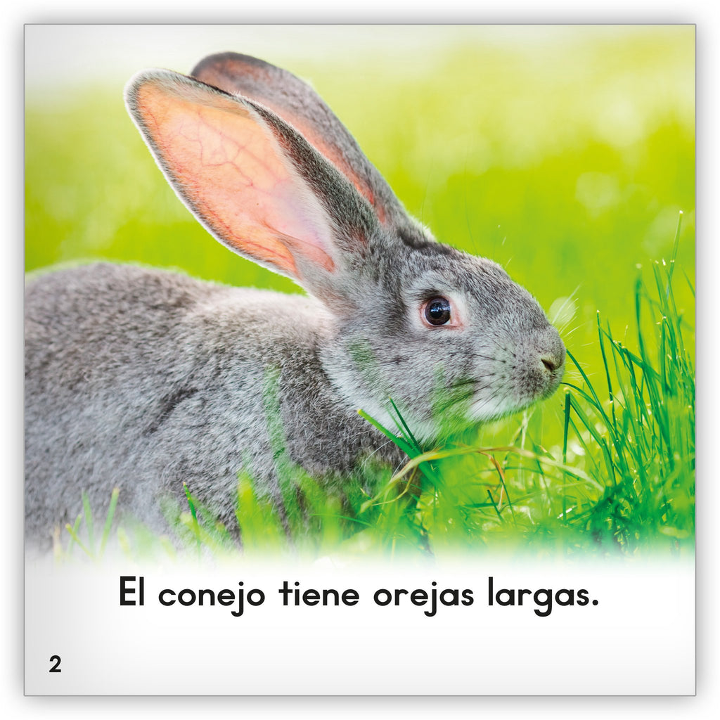 El conejo - Zoozoo Mundo Animal - Hameray Publishing