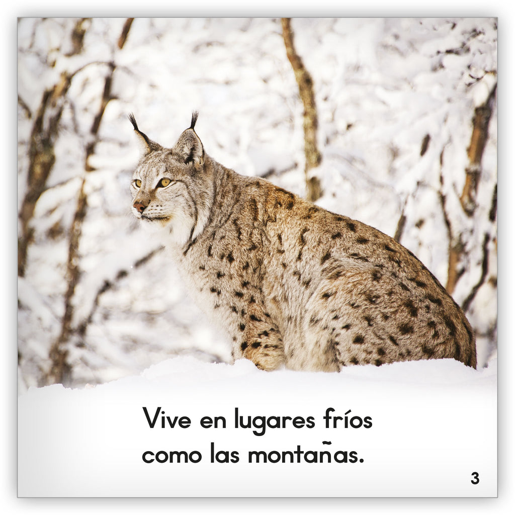 El lince - Zoozoo Mundo Animal - Hameray Publishing