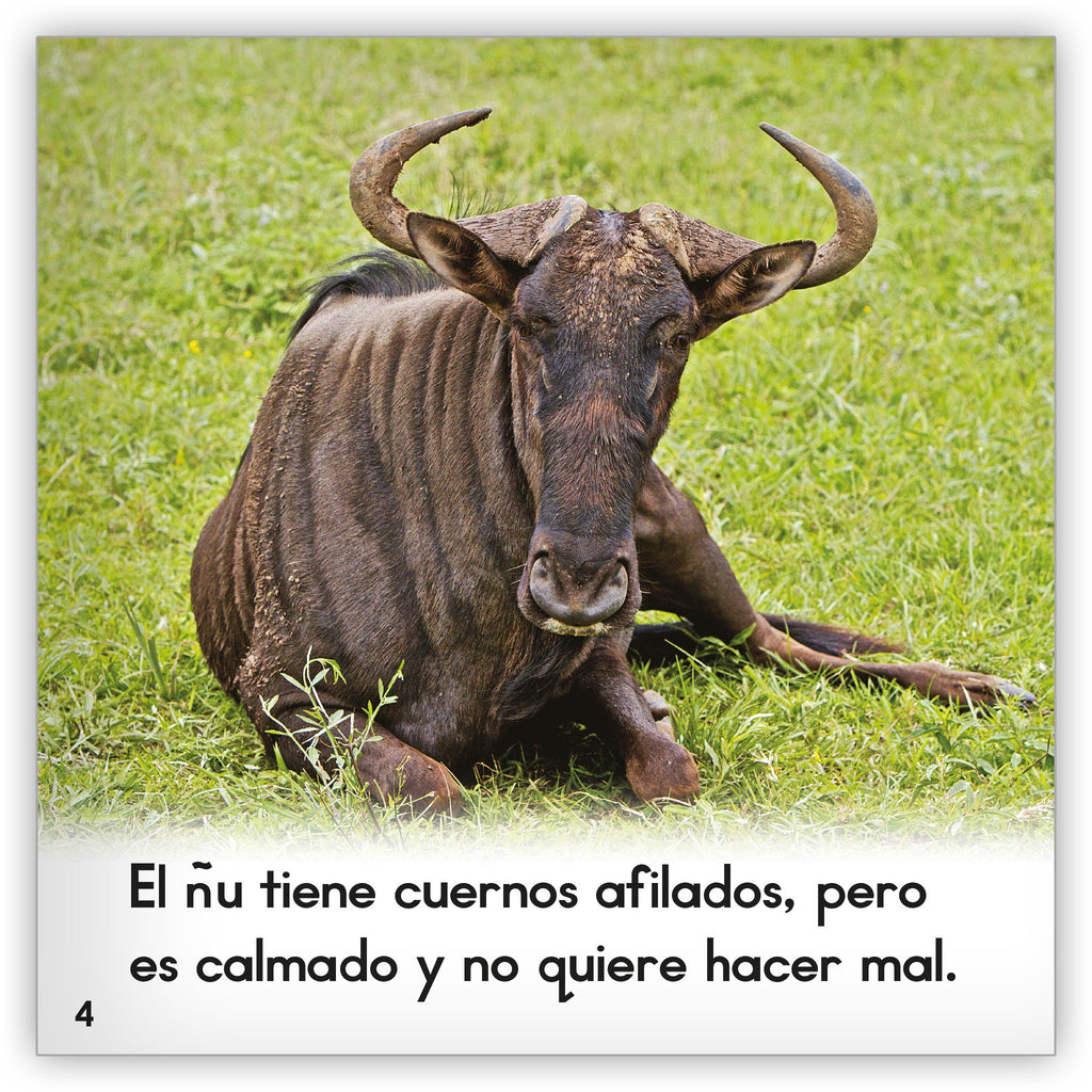 El ñu - Zoozoo Mundo Animal - Hameray Publishing