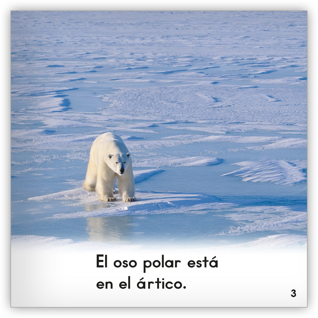 El oso polar - Zoozoo Mundo Animal - Hameray Publishing