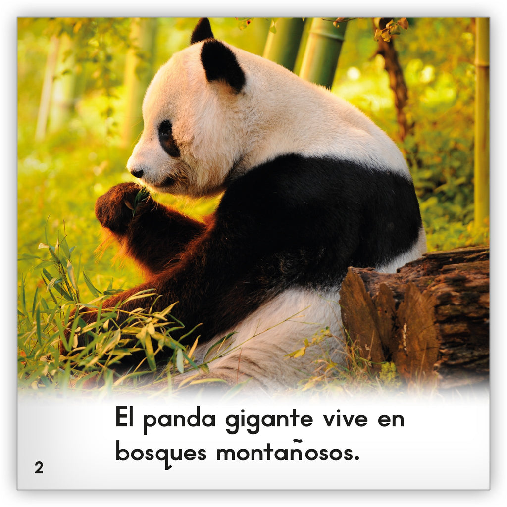 El panda gigante - Zoozoo Mundo Animal - Hameray Publishing
