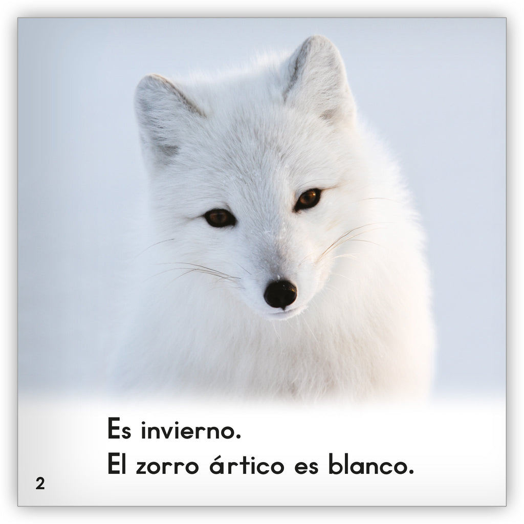 El zorro ártico - Zoozoo Mundo Animal - Hameray Publishing
