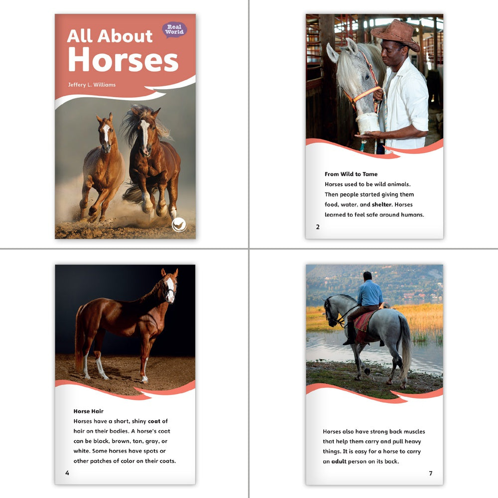 Farm Animals Theme Set (6-Packs) - Hameray Publishing