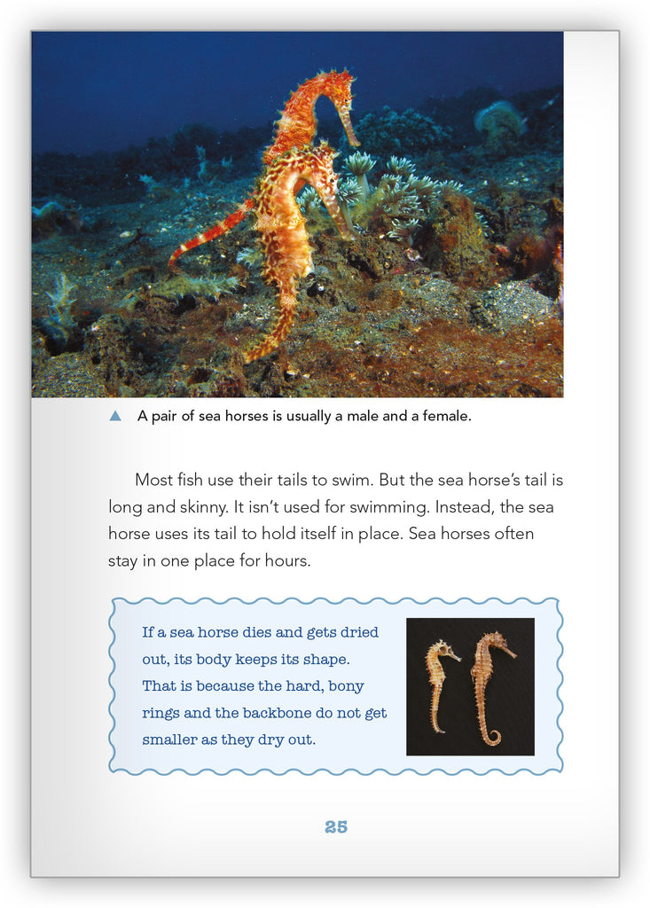 Fish, Not Fish - Underwater Encounters - Hameray Publishing