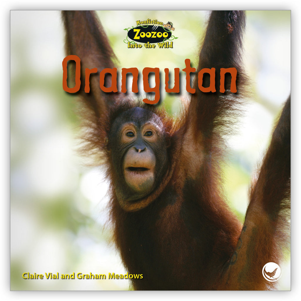 Orangutan - Zoozoo Into the Wild - Hameray Publishing