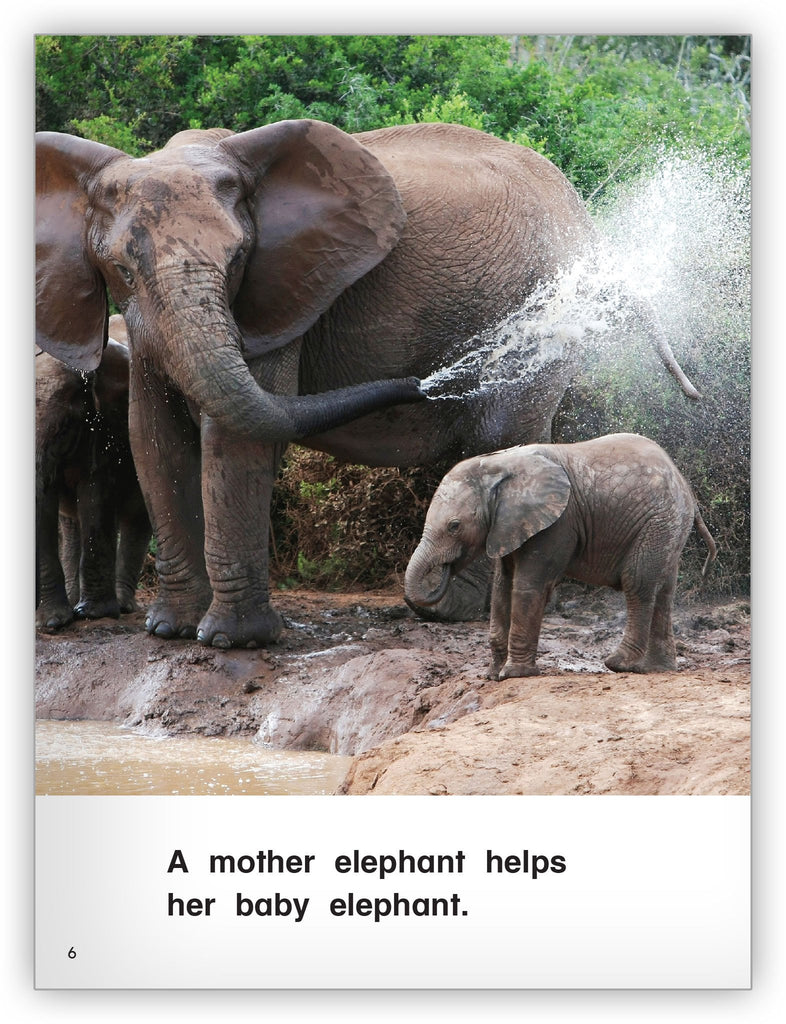 Help Me! Big Book - Hameray Publishing