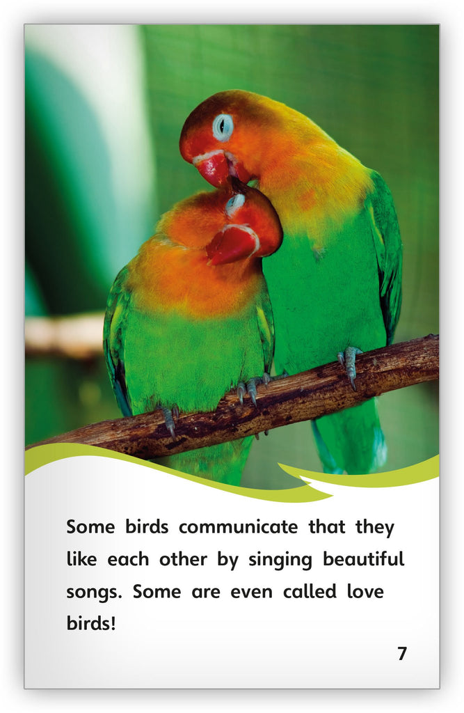 How Do Birds Communicate? - Fables & the Real World - Hameray Publishing