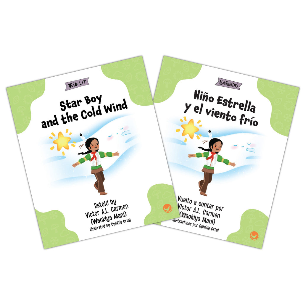 Level D Dual Language Set - Hameray Publishing