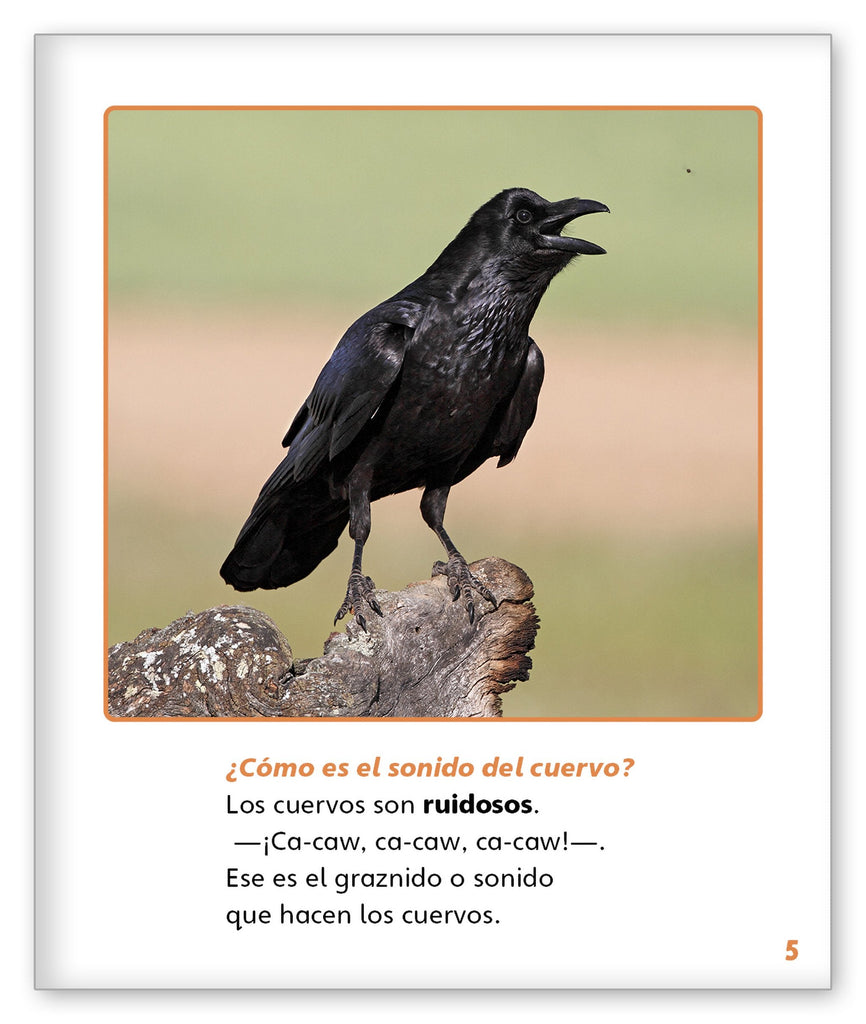 Cuervos inteligentes - Mundo de los Cuentos Mundo Real - Hameray Publishing