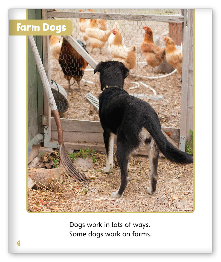 Dogs at Work - Story World Real World - Hameray Publishing