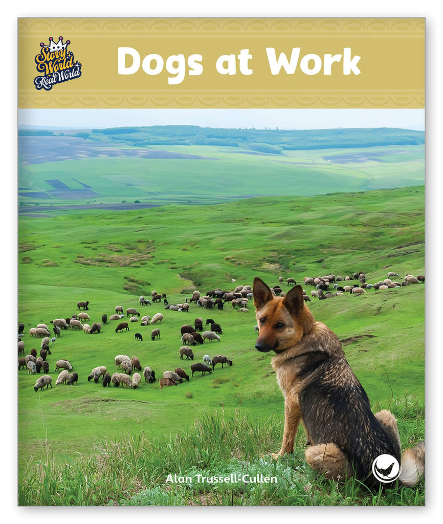Dogs at Work - Story World Real World - Hameray Publishing