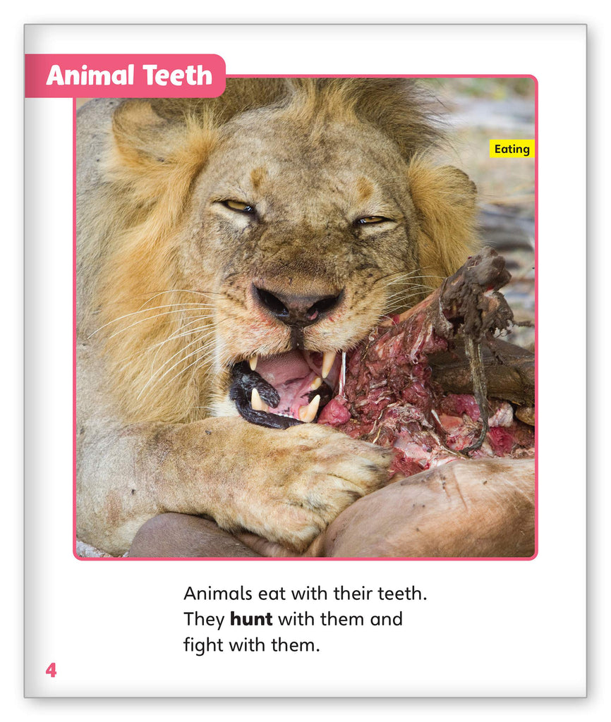 Terrific Teeth - Story World Real World - Hameray Publishing