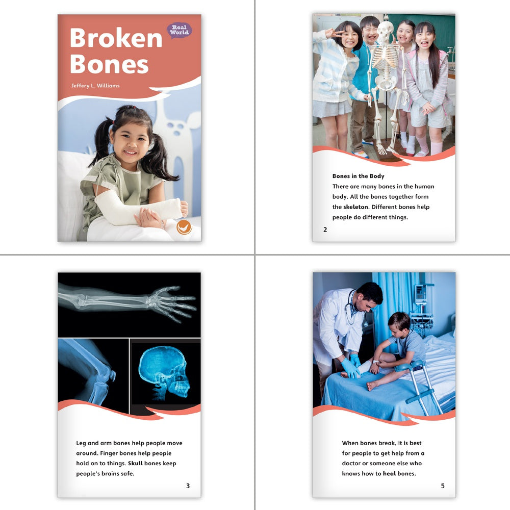 Human Body Theme Set - Hameray Publishing