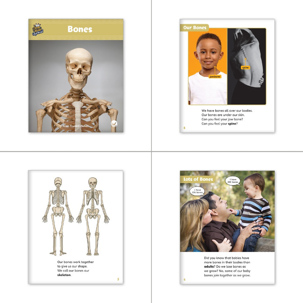 Human Body Theme Set - Hameray Publishing