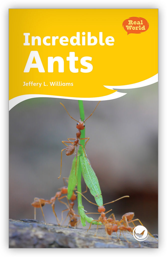 Incredible Ants - Fables & the Real World - Hameray Publishing