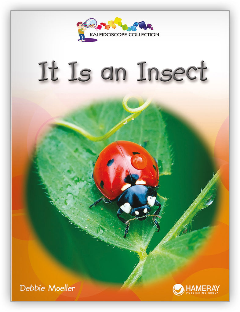 It Is an Insect Big Book - Kaleidoscope Collection - Hameray Publishing