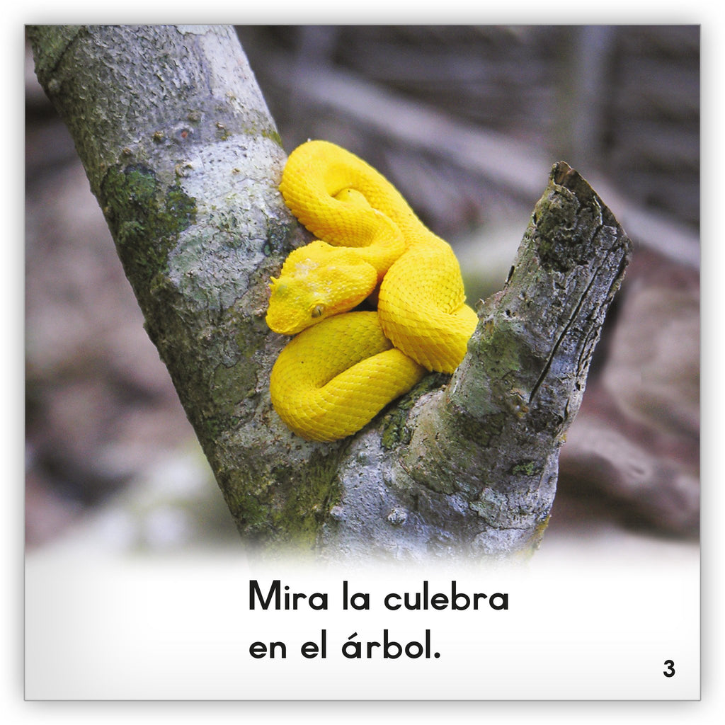 La culebra - Zoozoo Mundo Animal - Hameray Publishing