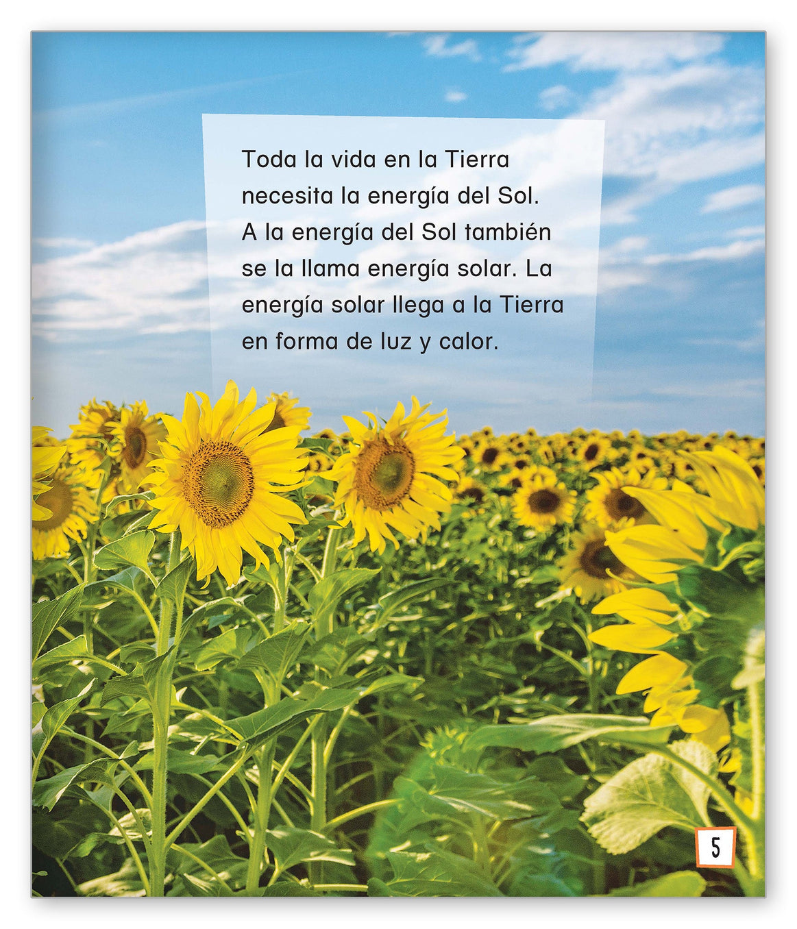 La energía del Sol - STEM Exploraciones - Hameray Publishing