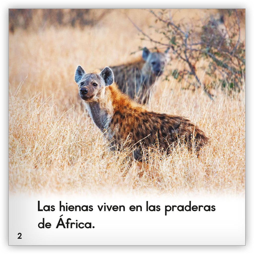 La hiena - Zoozoo Mundo Animal - Hameray Publishing