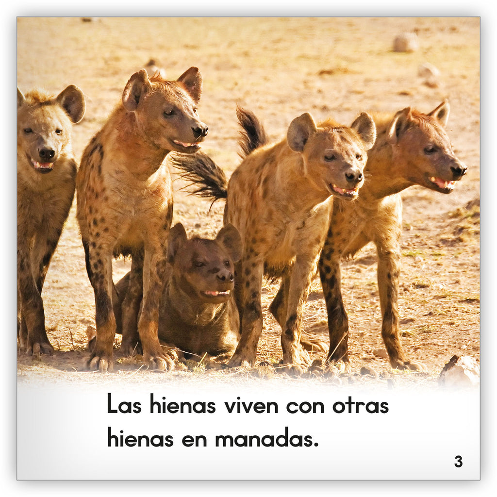 La hiena - Zoozoo Mundo Animal - Hameray Publishing