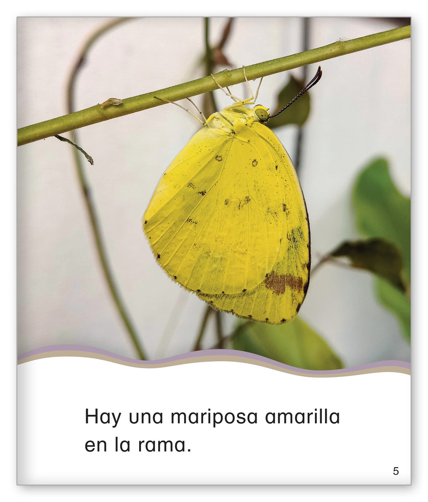 La mariposa se posa en mí - Lecturitas - Hameray Publishing