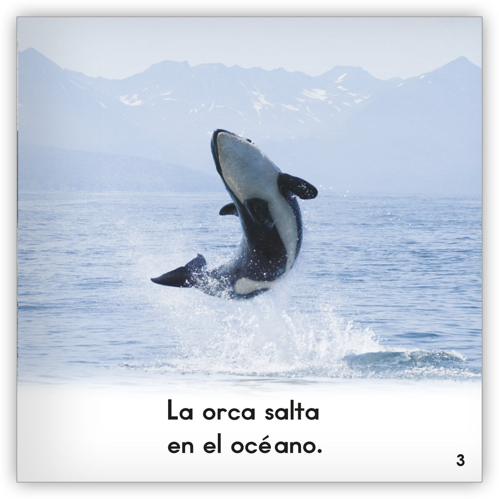 La orca - Zoozoo Mundo Animal - Hameray Publishing